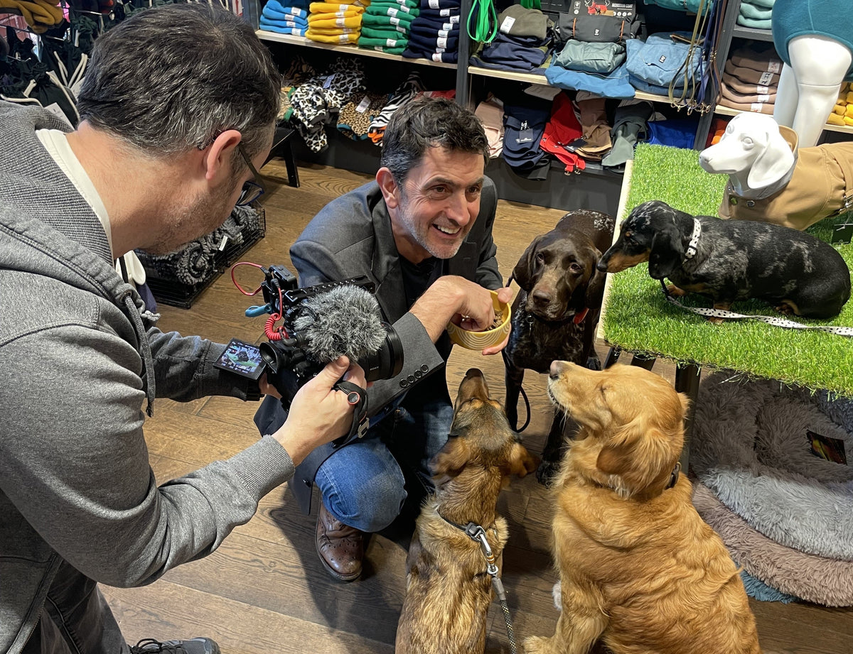 Cultivated Meat for Pets Now Available in the UK: BBC Visits Doghouse ...