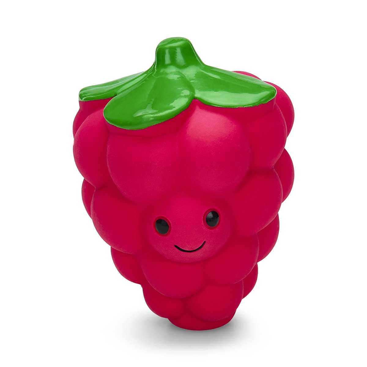 Foodie Faces Latex Raspberry Dog Toy – DOGHOUSE