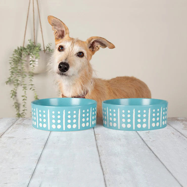 Scruffs Aztec Pet Food Bowl – DOGHOUSE