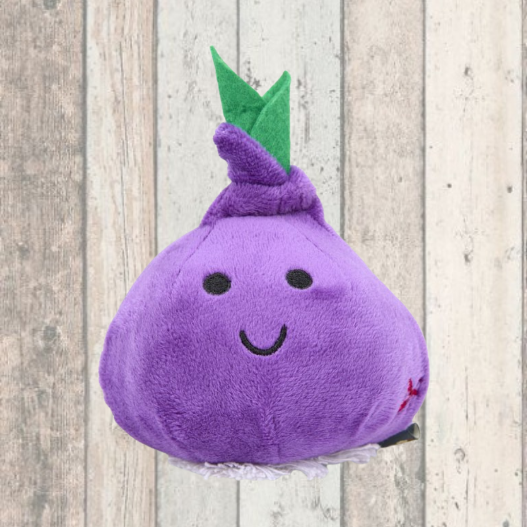 Foodie Faces Reggie Red Onion Plush Dog Toy – DOGHOUSE