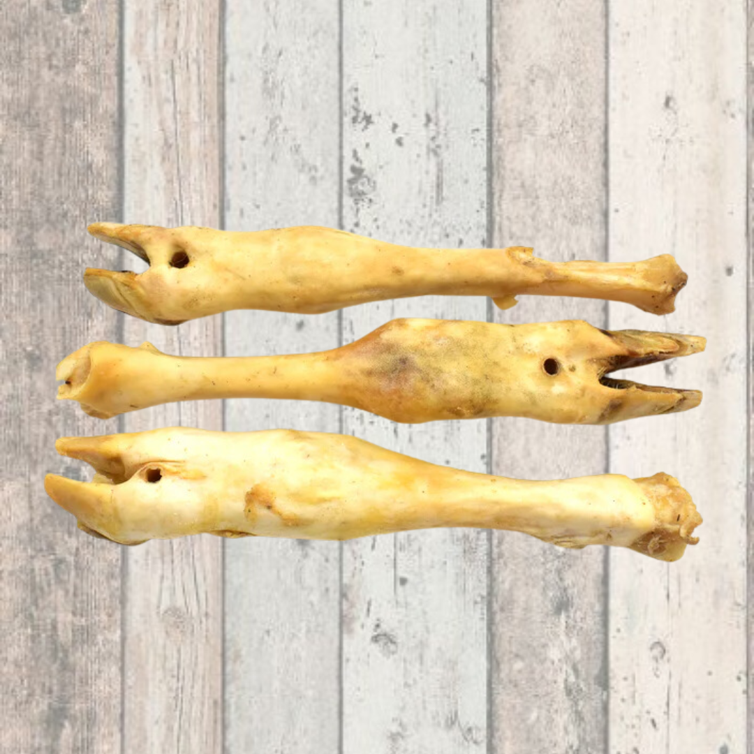 Lamb Foot for Dogs – DOGHOUSE