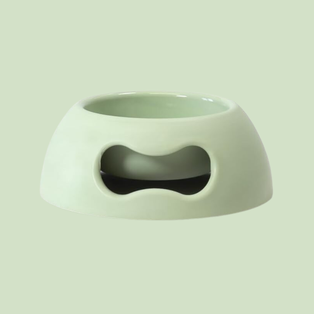 Pappy Bone Dog Bowl Green | Italian Non Slip Dog Bowls | United Pets ...