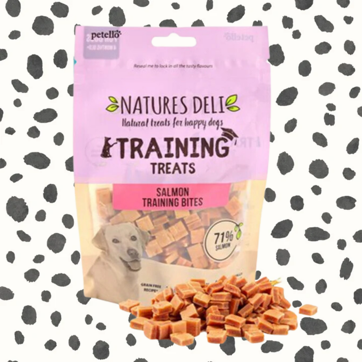 Natures Deli Salmon Training Bites – DOGHOUSE