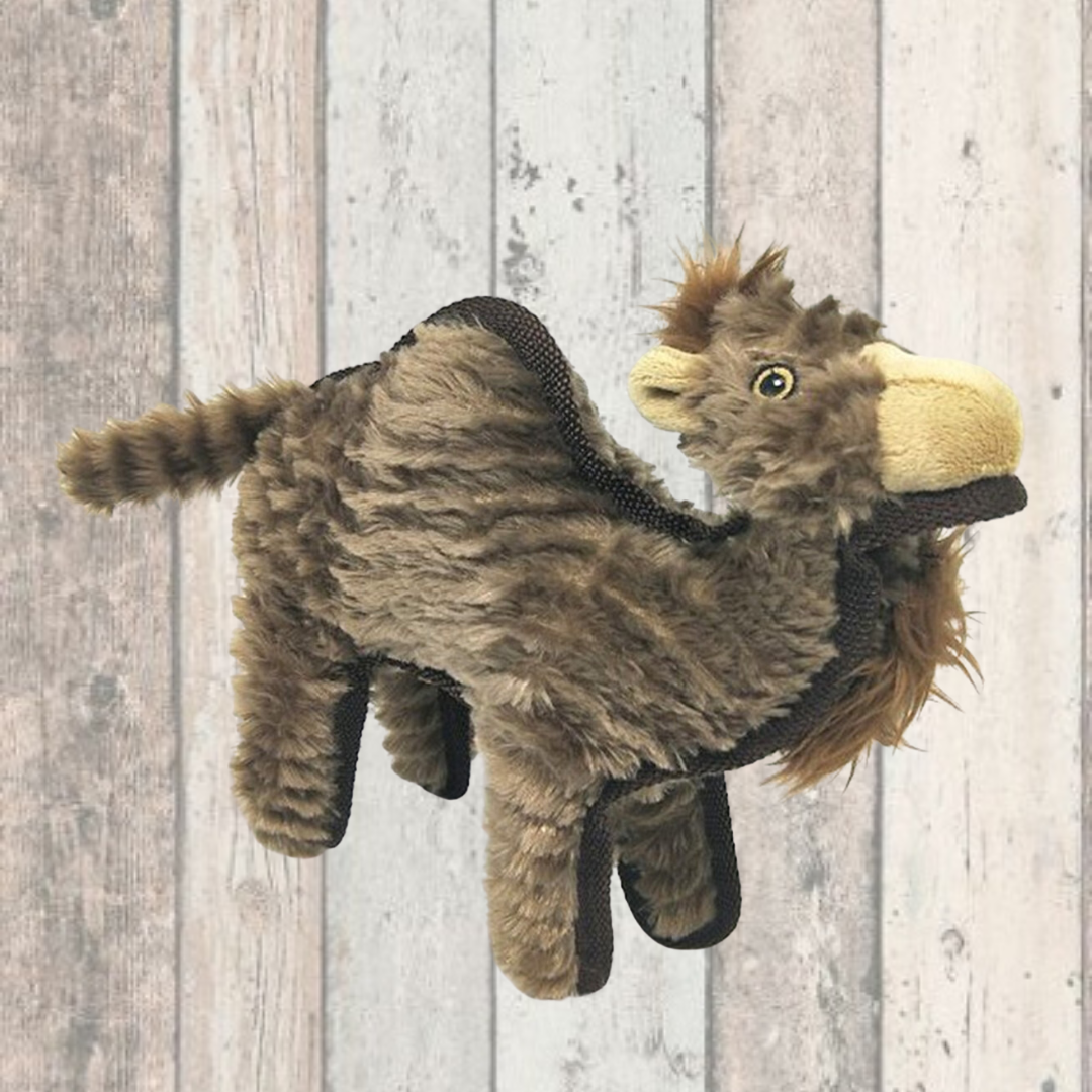 Steeldog Ruffian Camel Plush Toy | DOGHOUSE