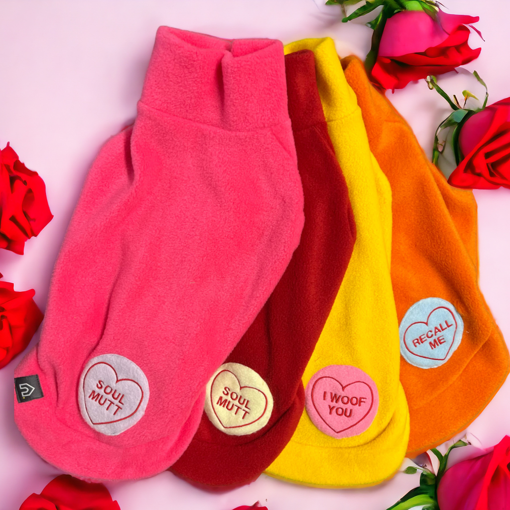 Your Dog's Wardrobe | Handmade Dog Clothing & Accessories | DOGHOUSE