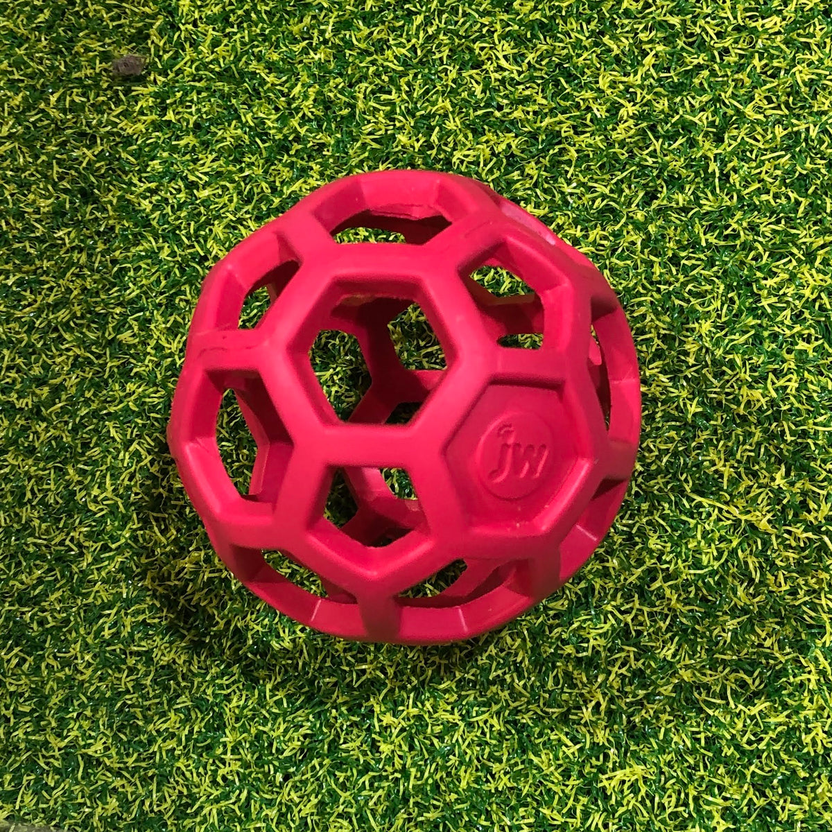 JW Pets Hol-ee Roller Ball | Best Dog Toys | DOGHOUSE