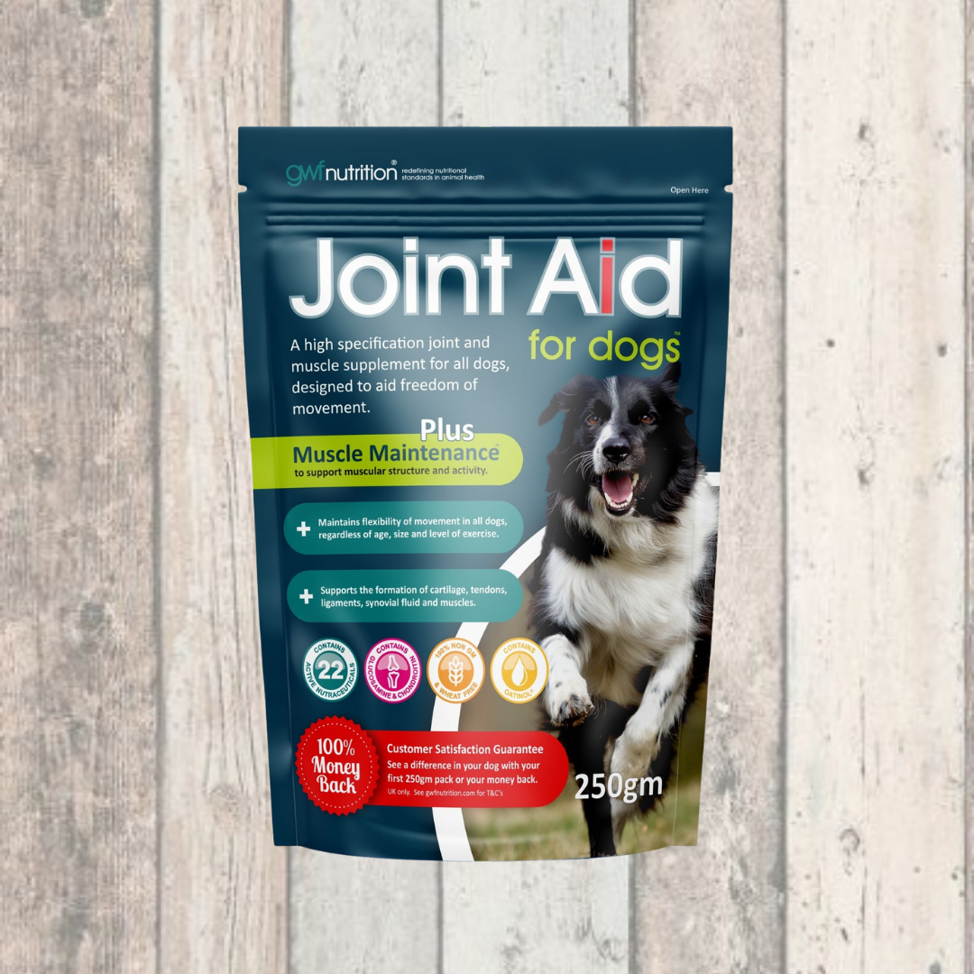 Joint Aid for Dogs | Joint Care Supplement | DOGHOUSE