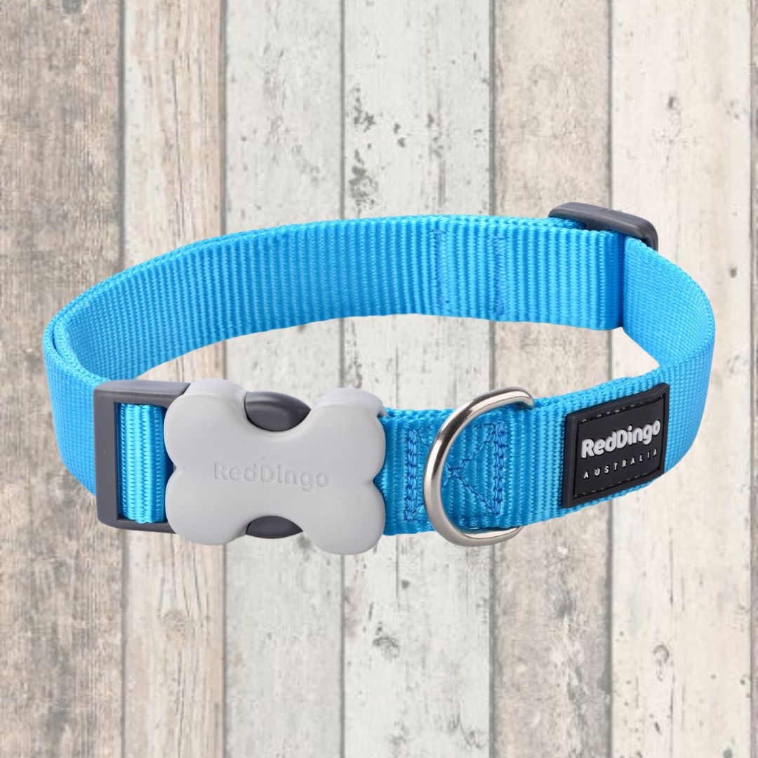 Red Dingo | Turquoise Dog Collar with Available Matching Lead ...