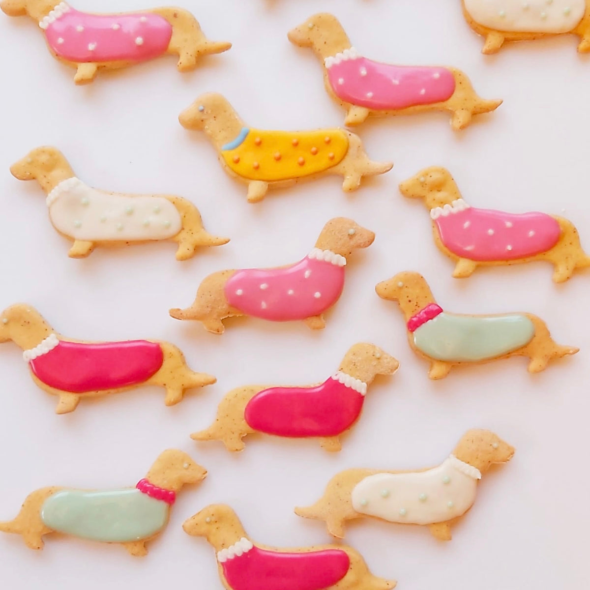 Handmade Dachshund Biscuits for Dogs | Award-Winning Baker | Doghouse ...