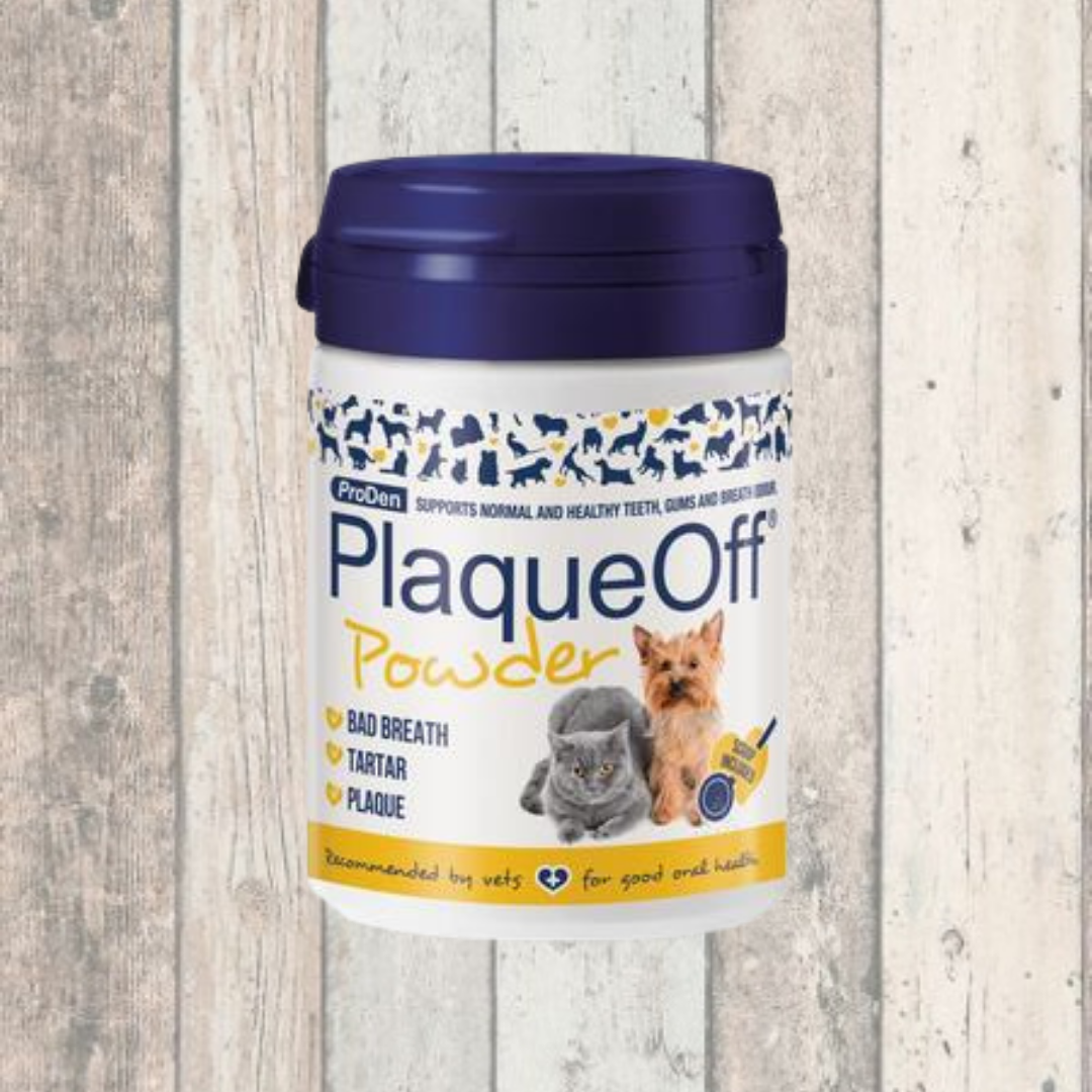 ProDen Plaque Off | Dental Treatment for Dogs | Doghouse – DOGHOUSE