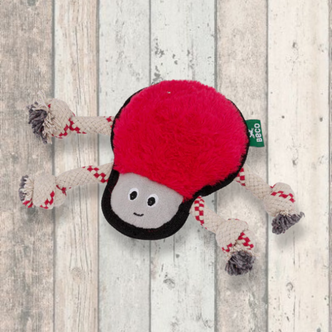 Steve The Spider Dog Toy | Beco Pets | Tough Toys – DOGHOUSE