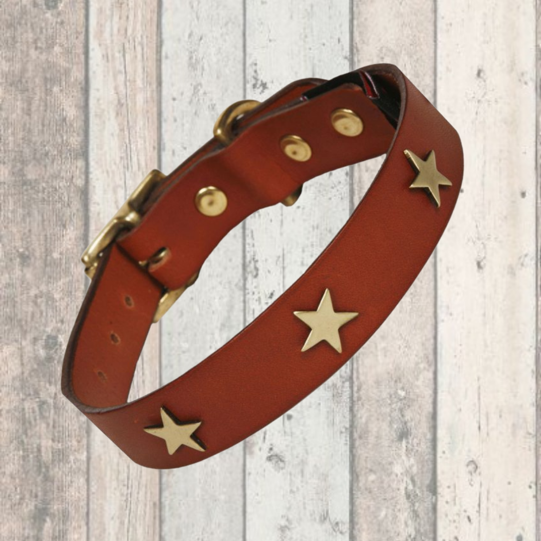 Tan Real Leather Dog Collar with Brass Stars | Creature Clothes – DOGHOUSE