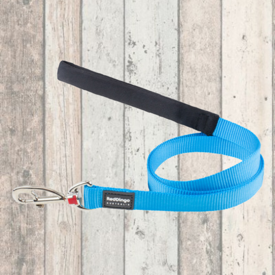 Red Dingo Turquoise Dog Lead | Doghouse – DOGHOUSE